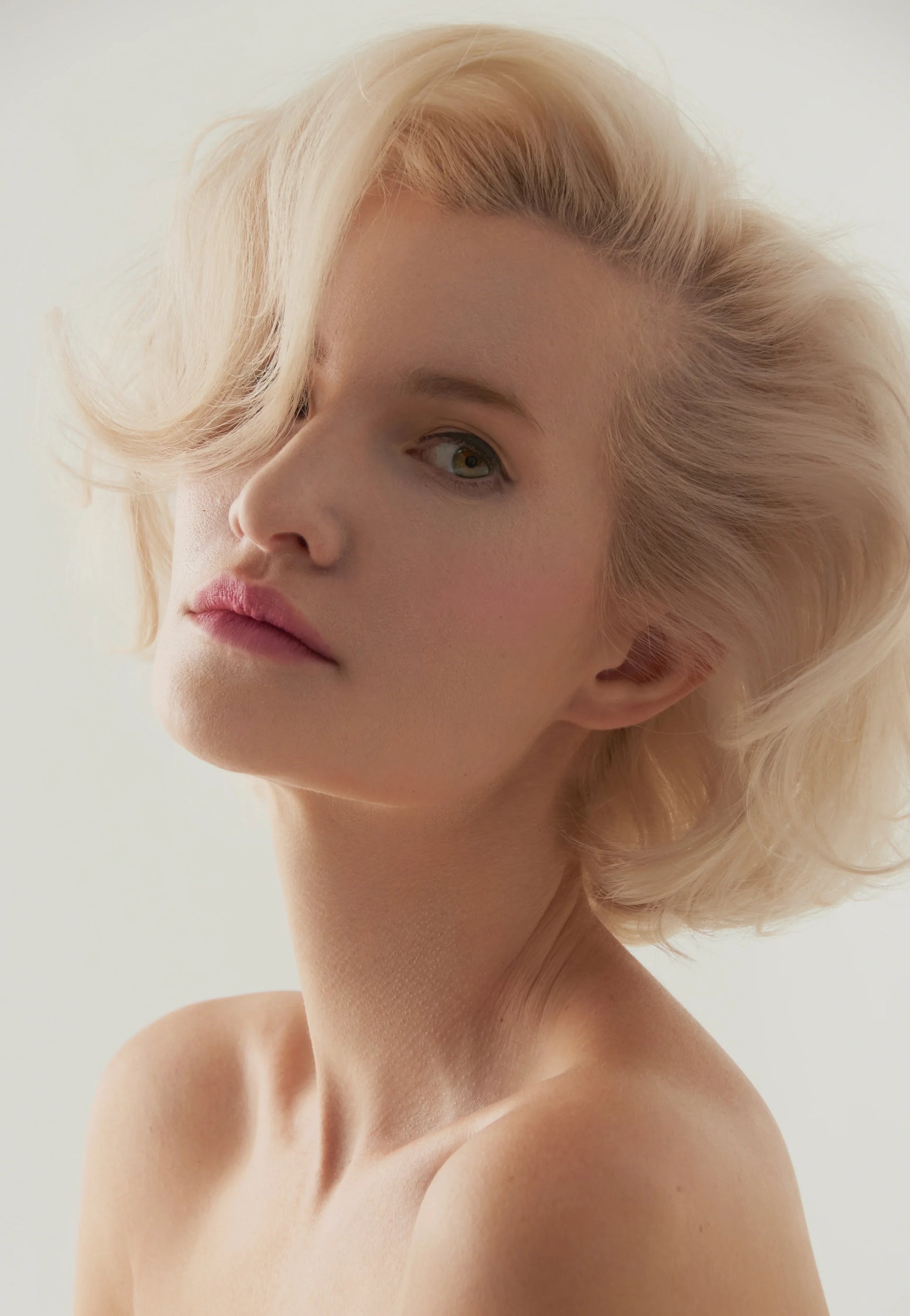 Intelligent Nutrients - Certified Organic Skin Care and Hair Care ...