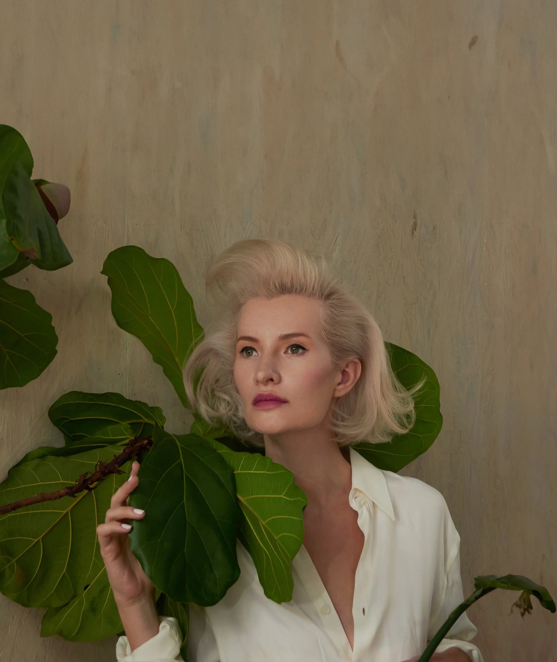 Intelligent Nutrients - Certified Organic Skin Care and Hair Care ...